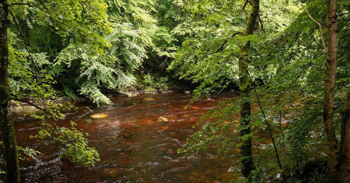 Cairngorms National Park | River Tilt circuit