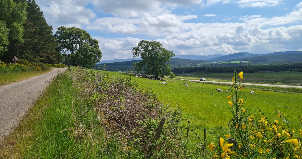 Cairngorms National Park | Dulnain Bridge to Grantown ‘active’ route…