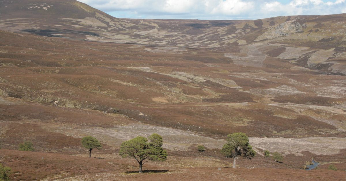 Cairngorms National Park | Blog: Time to Move with the Times