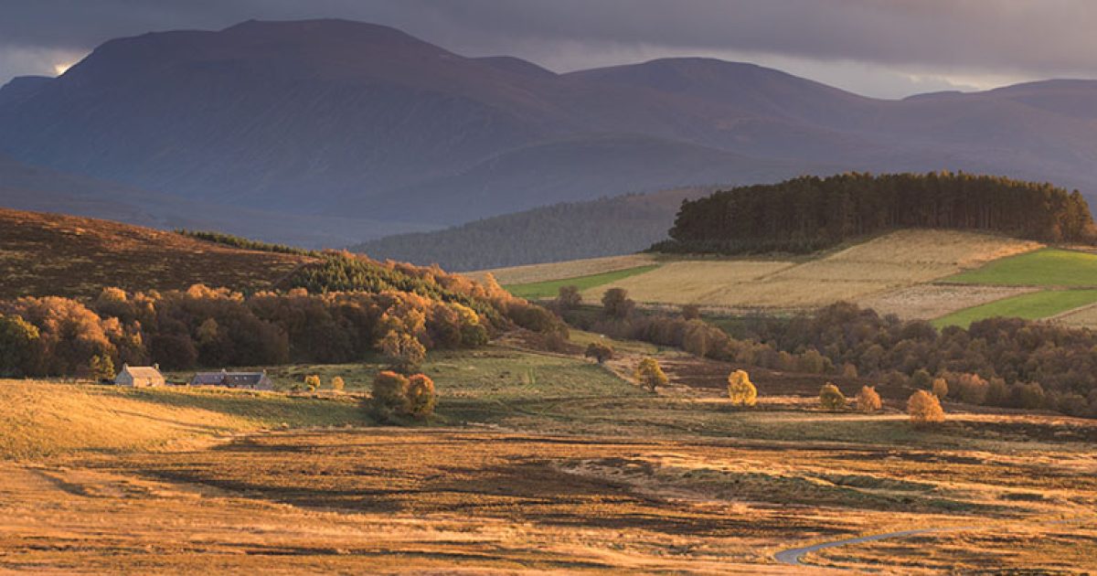 Cairngorms National Park | Park Talk – by Anne Rae MacDonald