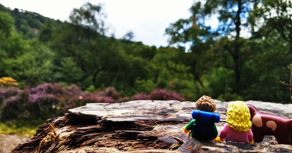 Cairngorms National Park | Wee Walks Week: Wee Walks for your wee ones
