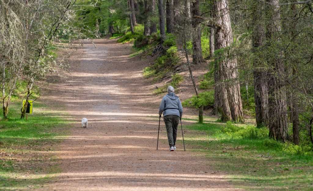 Cairngorms | Nethy Bridge paths