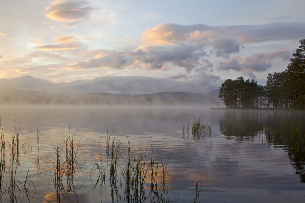 Cairngorms National Park | Aviemore paths