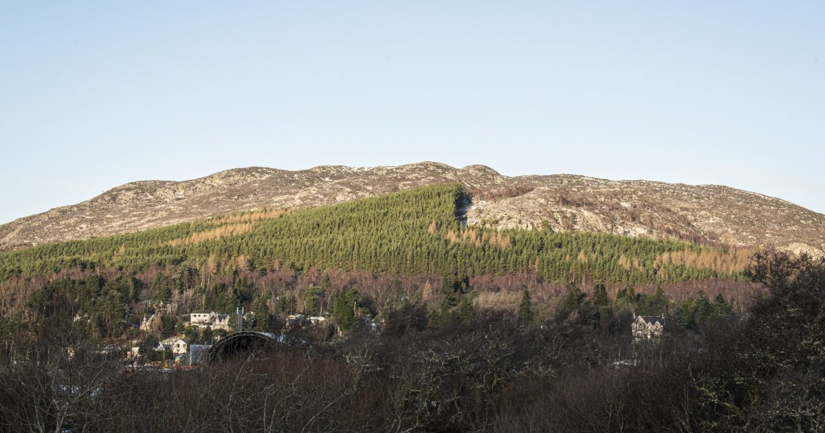 Cairngorms National Park | Creag Bheag