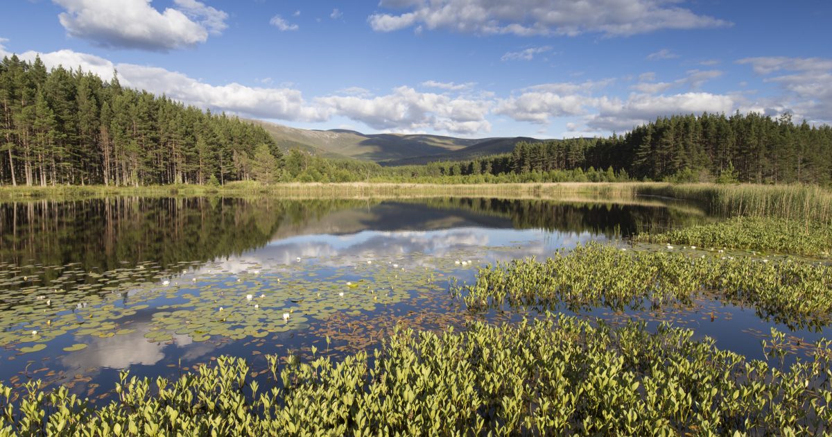 Cairngorms National Park | Uath Lochans trail