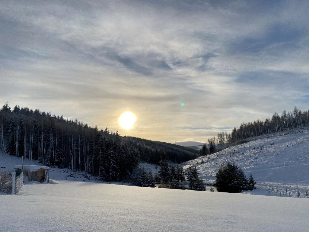 Cairngorms National Park | Nethy Bridge